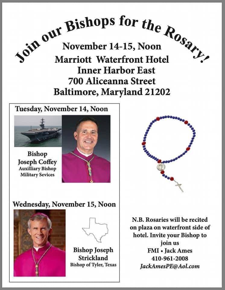 VIDEO: Join us in praying the Rosary with Bishop Strickland and Bishop ...