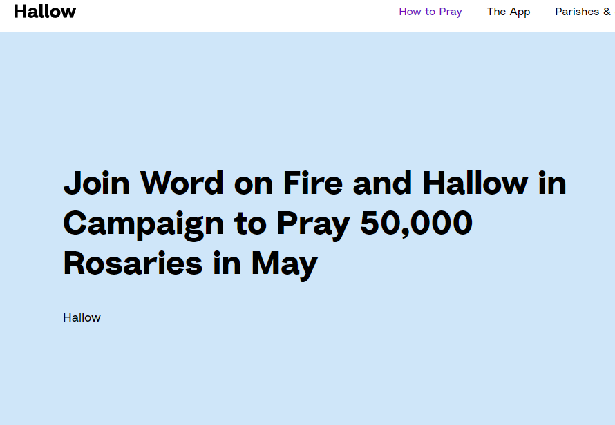 VIDEO: More Rosaries? YES (But also more TRANSPARENCY!) – STL Catholics